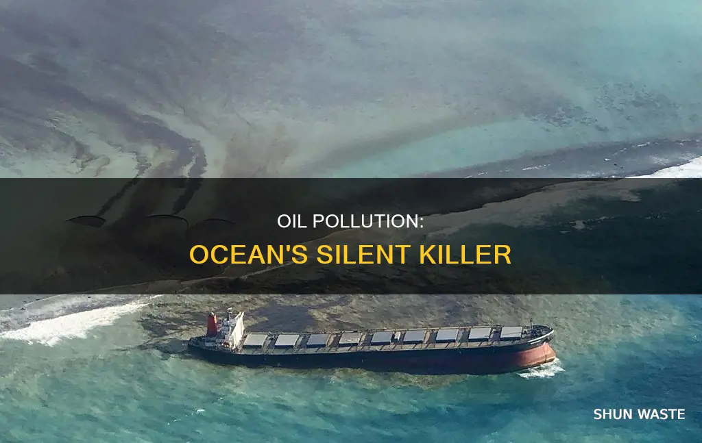 Oil Pollution: Ocean's Silent Killer | ShunWaste