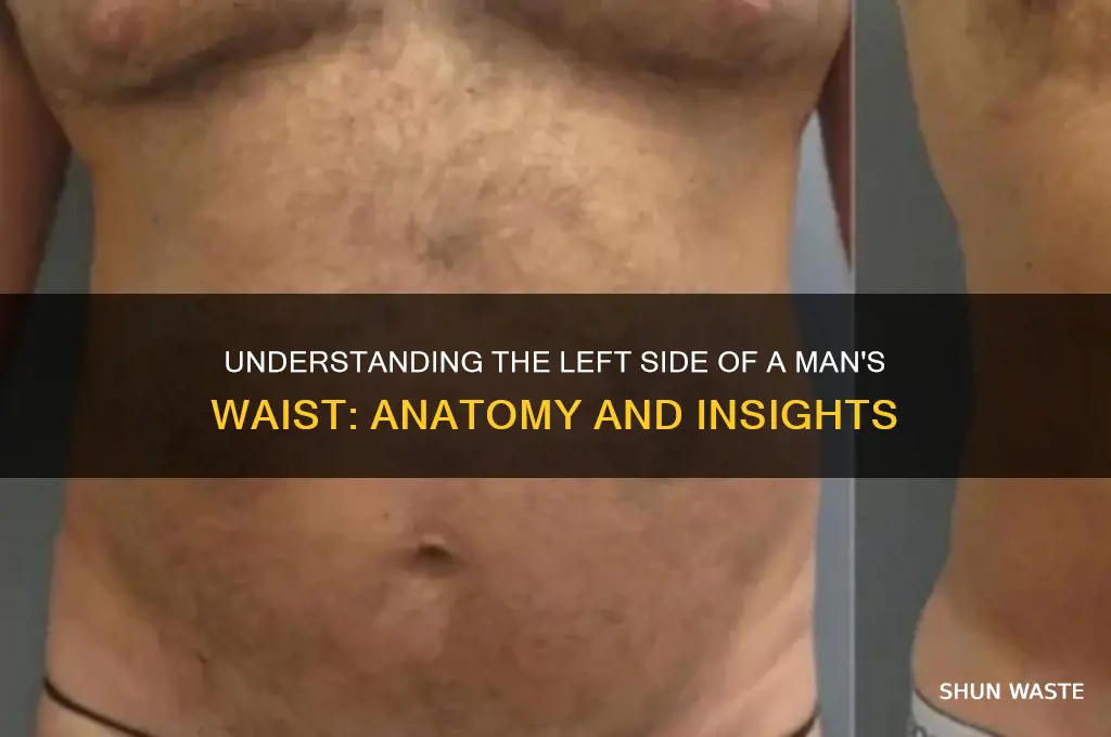 Understanding The Left Side Of A Man's Waist: Anatomy And Insights ...
