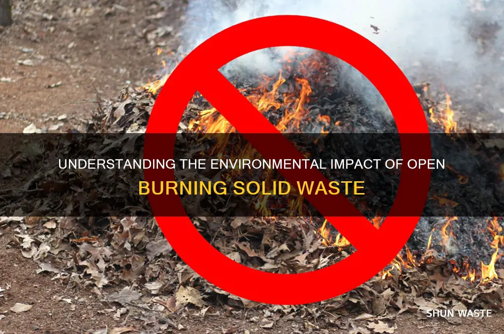 Understanding The Environmental Impact Of Open Burning Solid Waste ...