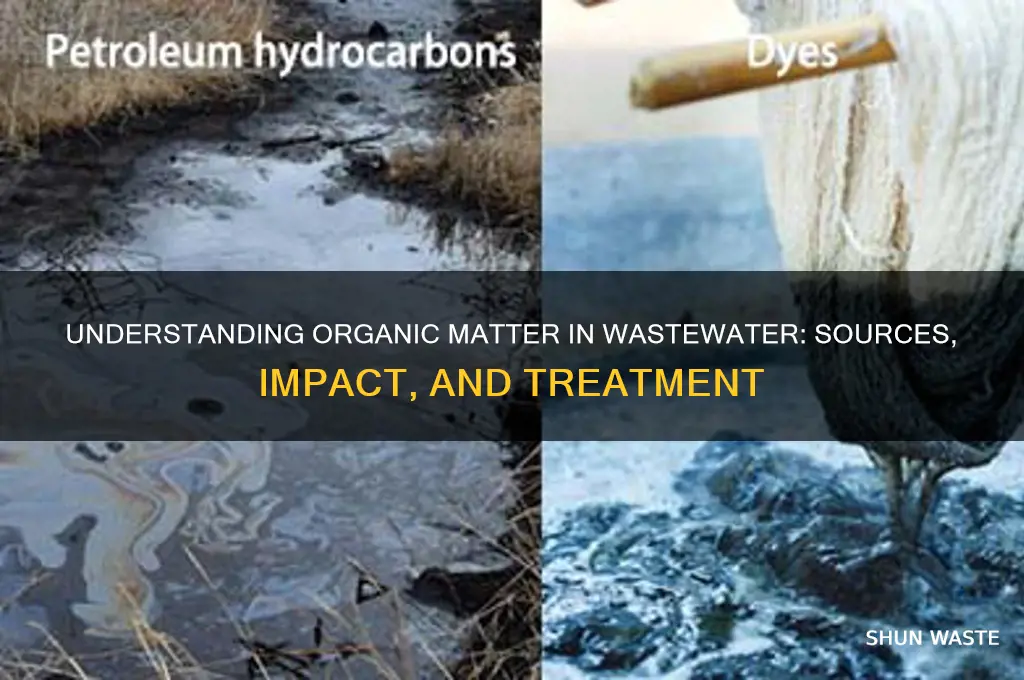 Understanding Organic Matter In Wastewater: Sources, Impact, And ...