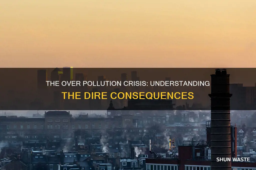 The Over Pollution Crisis: Understanding The Dire Consequences | ShunWaste