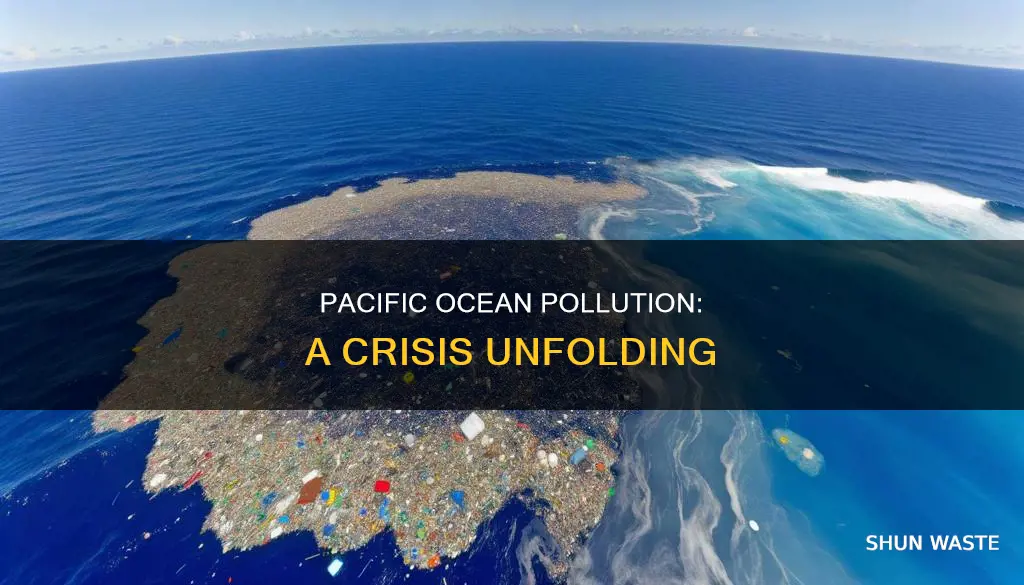 Pacific Ocean Pollution: A Crisis Unfolding | ShunWaste