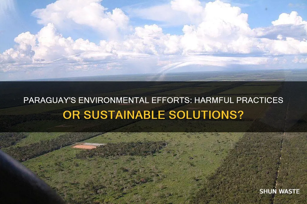 Paraguay's Environmental Efforts: Harmful Practices Or Sustainable ...