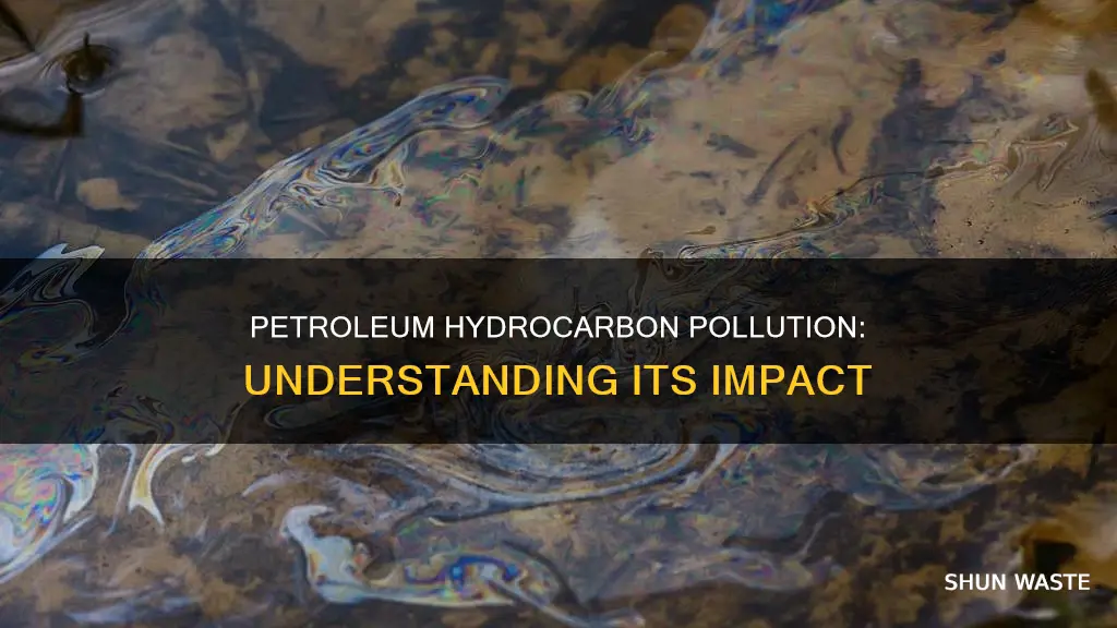 Petroleum Hydrocarbon Pollution: Understanding Its Impact | ShunWaste