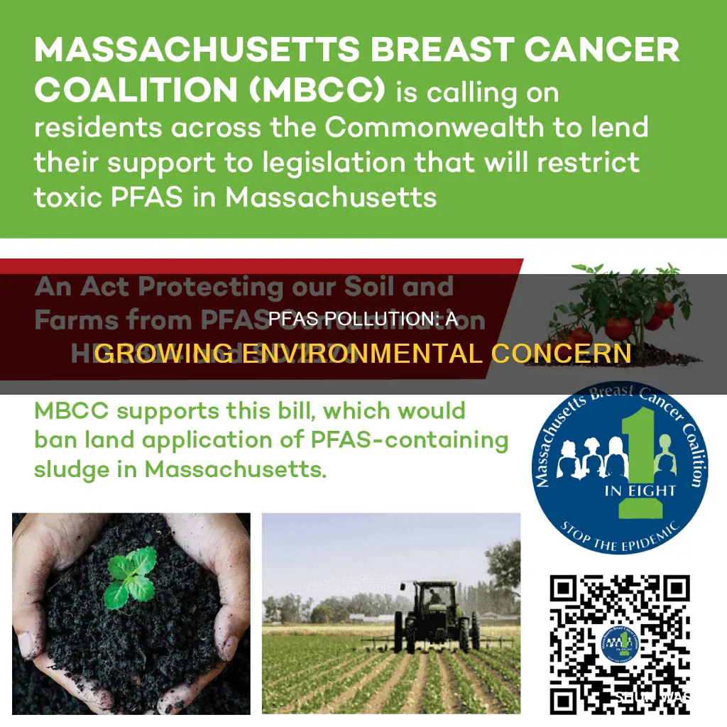 Pfas Pollution: A Growing Environmental Concern | ShunWaste