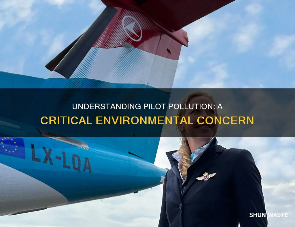 Understanding Pilot Pollution: A Critical Environmental Concern | ShunWaste