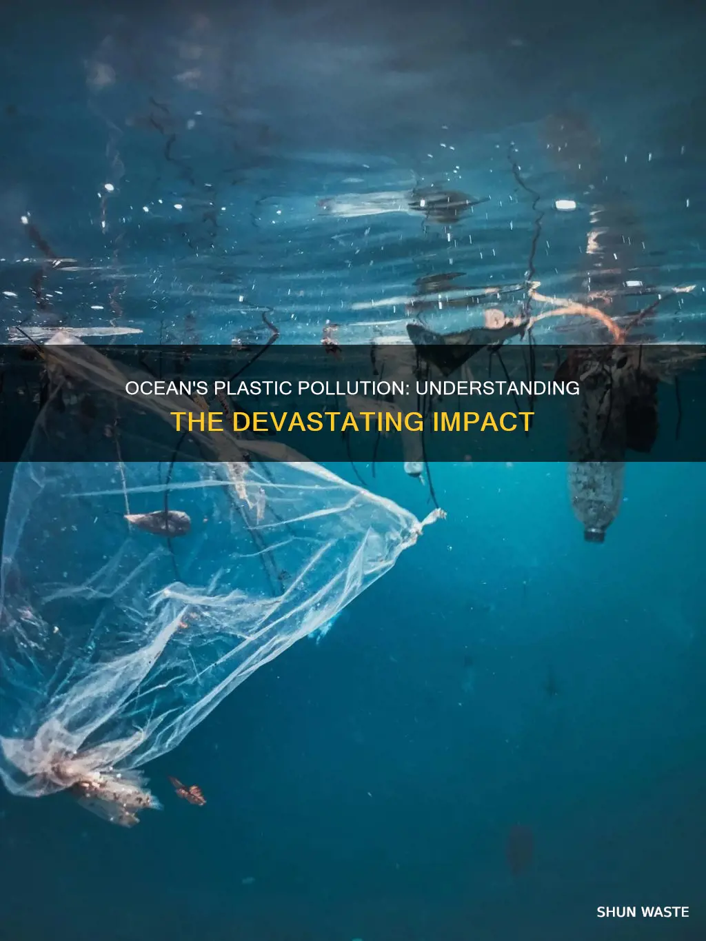 Ocean's Plastic Pollution: Understanding The Devastating Impact | ShunWaste