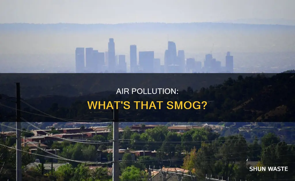 Air Pollution: What's That Smog? | ShunWaste