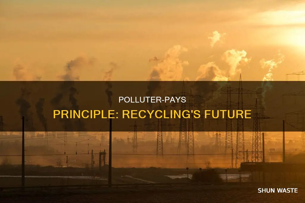 Polluter-Pays Principle: Recycling's Future | ShunWaste