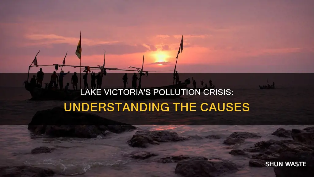 Lake Victoria's Pollution Crisis: Understanding The Causes | ShunWaste