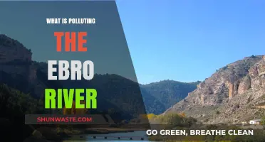 Ganges River Pollution: Understanding The Crisis | ShunWaste