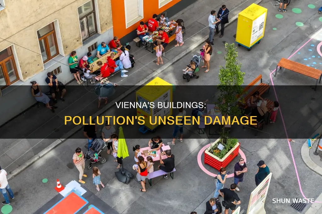 Vienna's Buildings: Pollution's Unseen Damage | ShunWaste