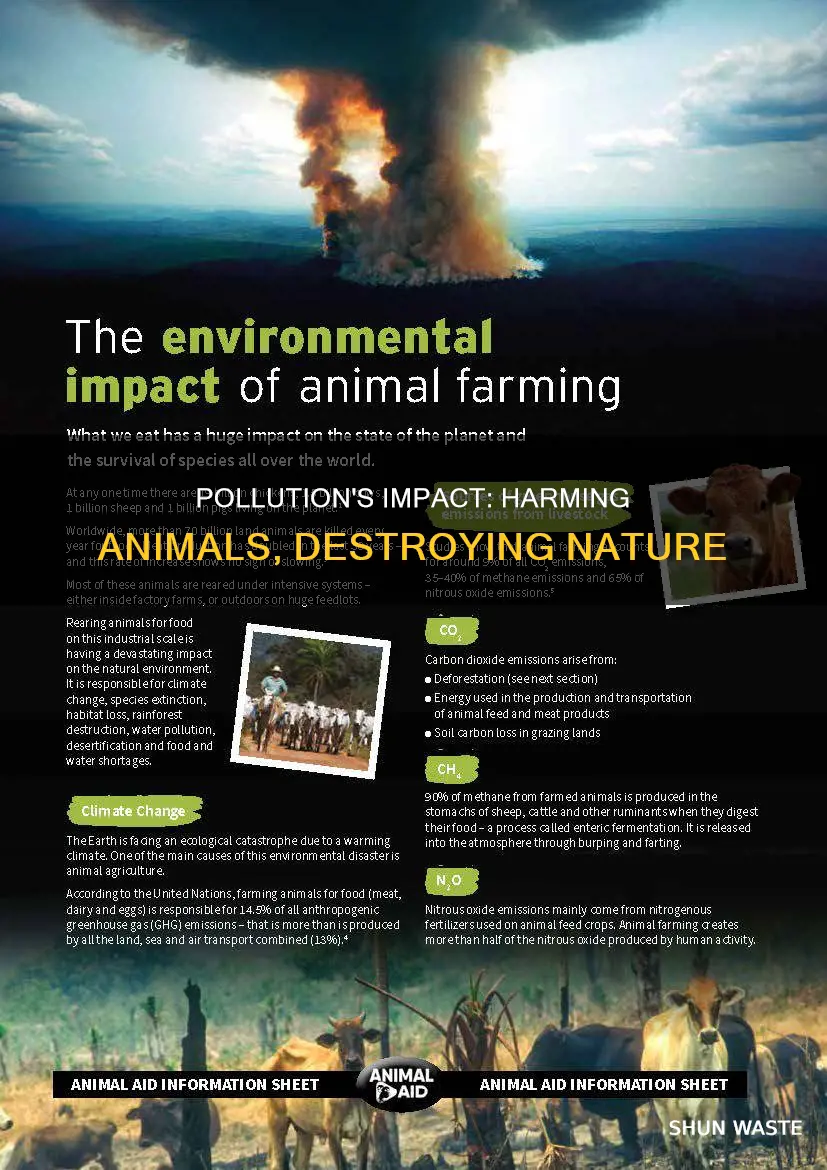Pollution's Impact: Harming Animals, Destroying Nature | ShunWaste