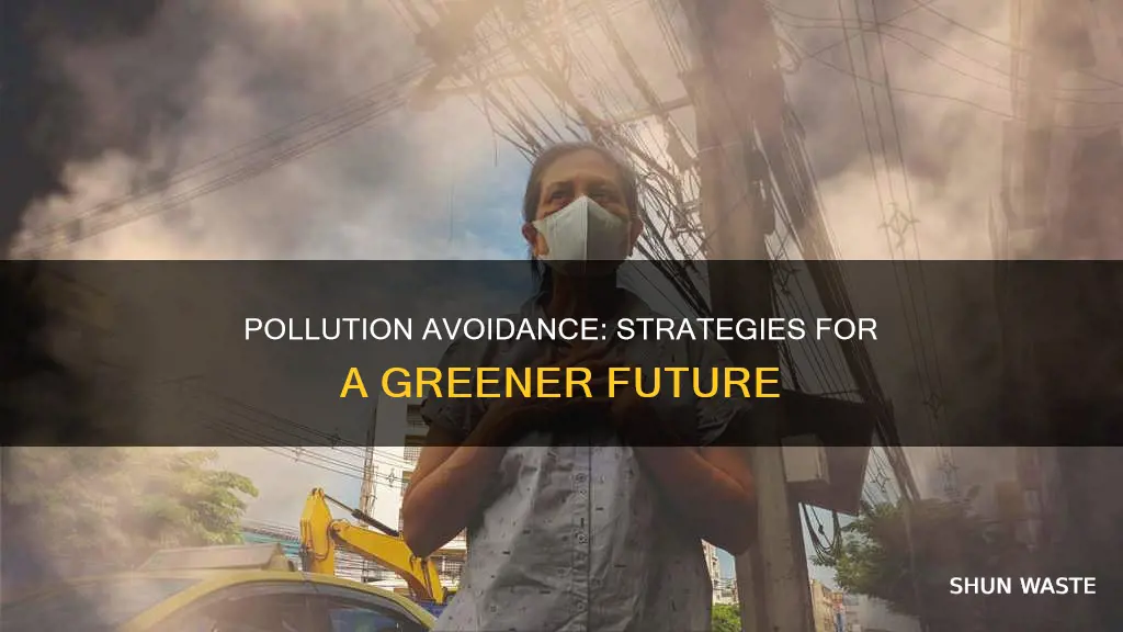 Pollution Avoidance: Strategies For A Greener Future | ShunWaste