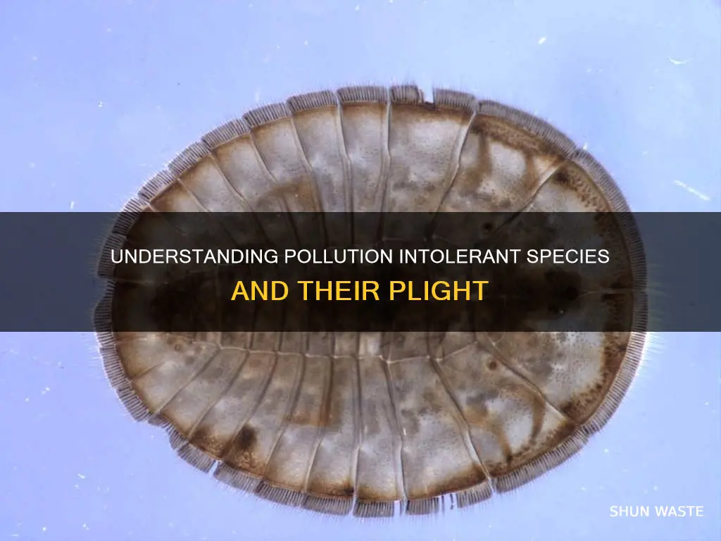 Understanding Pollution Intolerant Species And Their Plight | ShunWaste