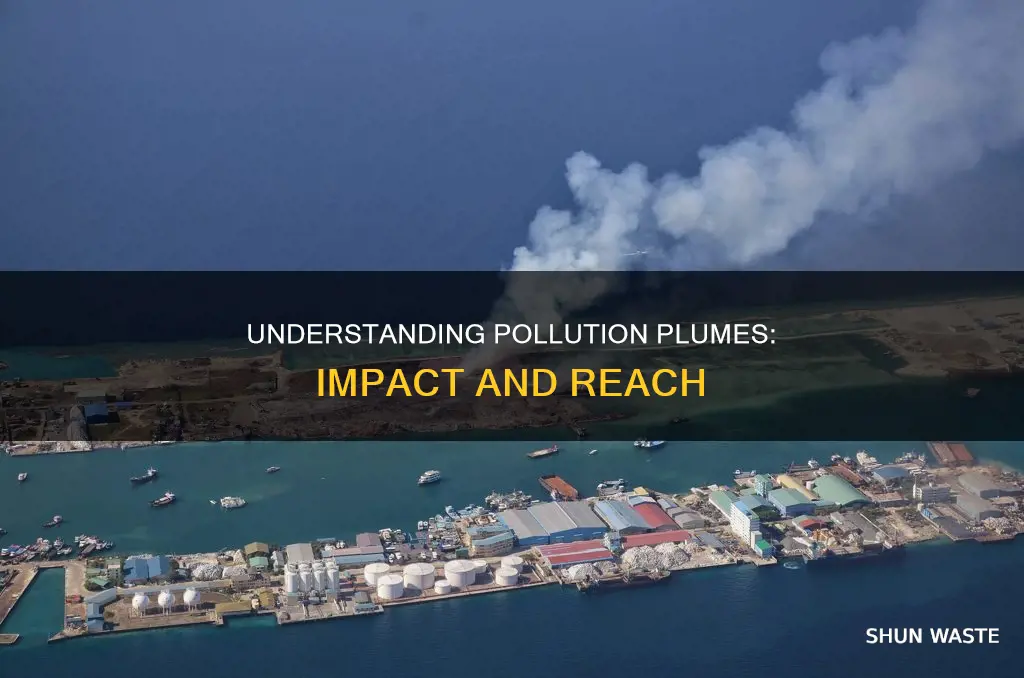 Understanding Pollution Plumes: Impact And Reach | ShunWaste