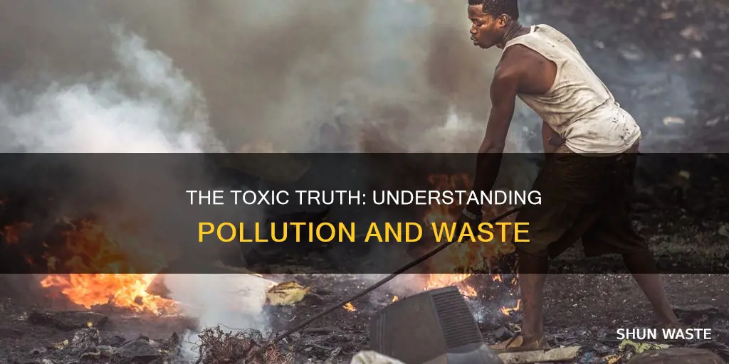 The Toxic Truth: Understanding Pollution And Waste | ShunWaste