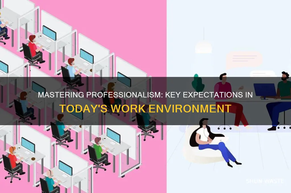 Mastering Professionalism: Key Expectations In Today's Work Environment ...