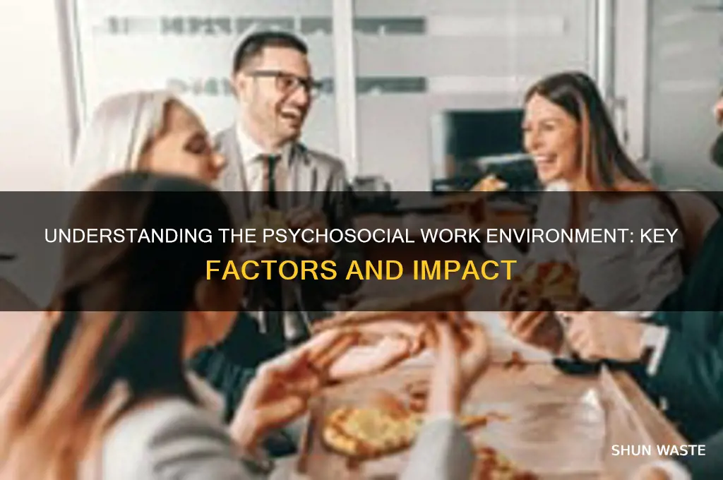 Understanding The Psychosocial Work Environment: Key Factors And Impact ...