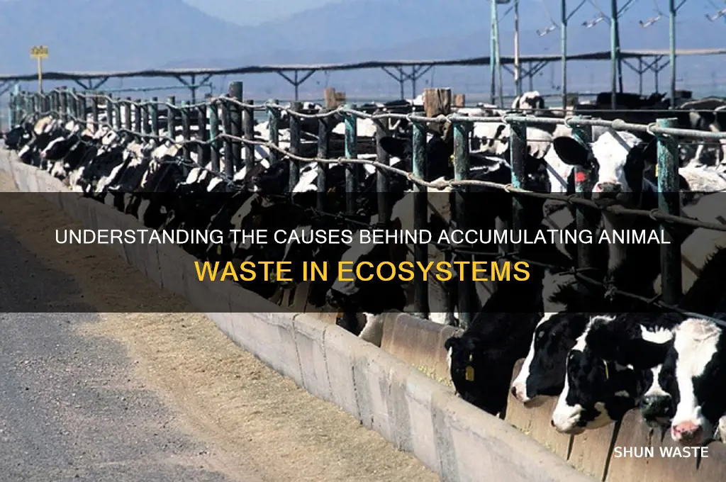 Understanding The Causes Behind Accumulating Animal Waste In Ecosystems ...