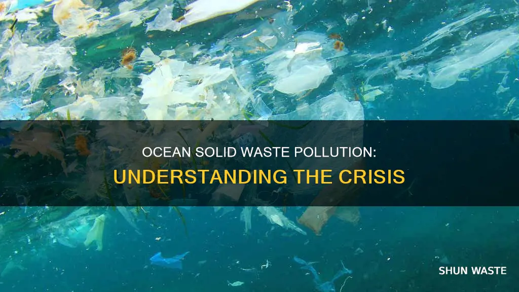 Ocean Solid Waste Pollution: Understanding The Crisis | ShunWaste