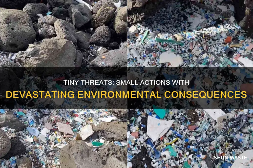Tiny Threats: Small Actions With Devastating Environmental Consequences ...