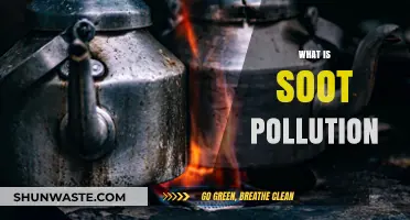 Sox Pollution: Understanding The Toxic Air We Breathe | ShunWaste