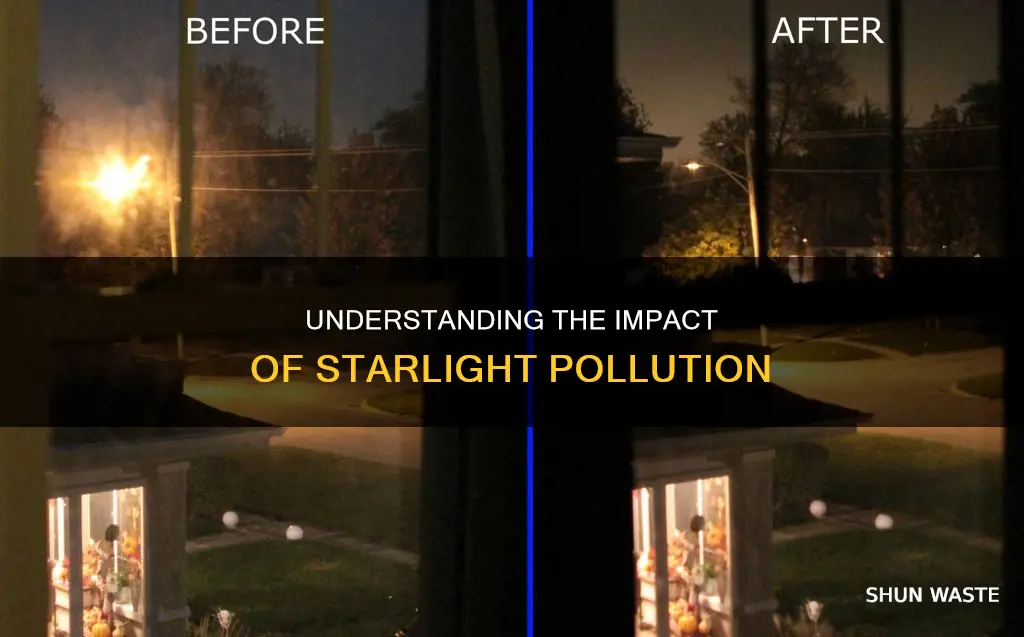 Understanding The Impact Of Starlight Pollution | ShunWaste