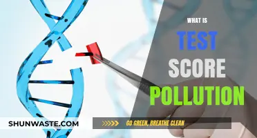 Sox Pollution: Understanding The Toxic Air We Breathe | ShunWaste