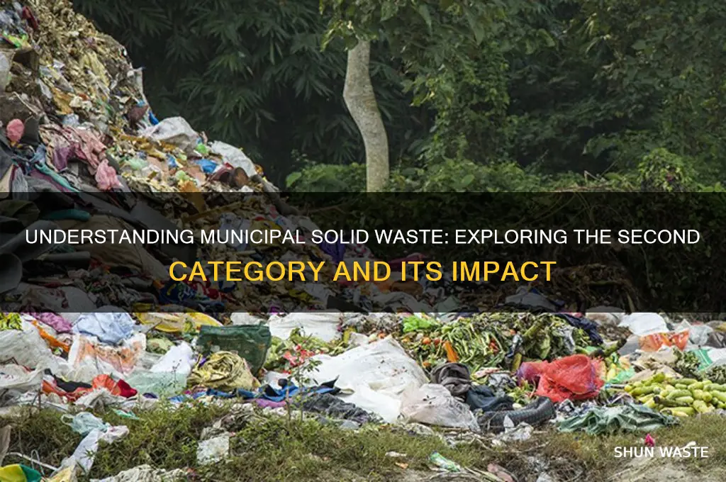 Understanding Municipal Solid Waste: Exploring The Second Category And ...