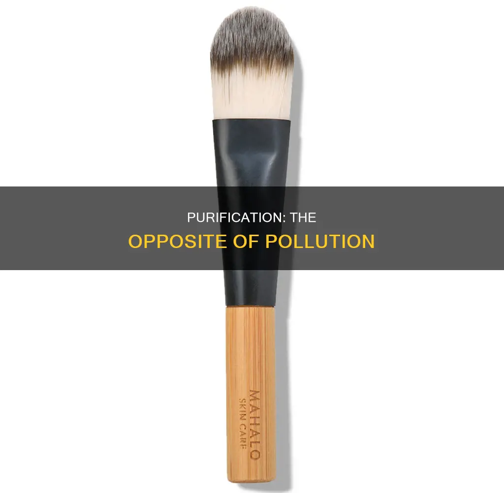 Purification: The Opposite Of Pollution | ShunWaste