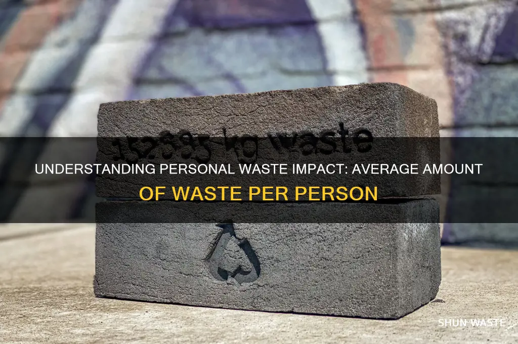 Understanding Personal Waste Impact: Average Amount Of Waste Per Person ...