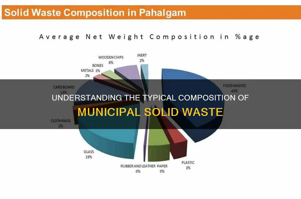Understanding The Typical Composition Of Municipal Solid Waste | ShunWaste