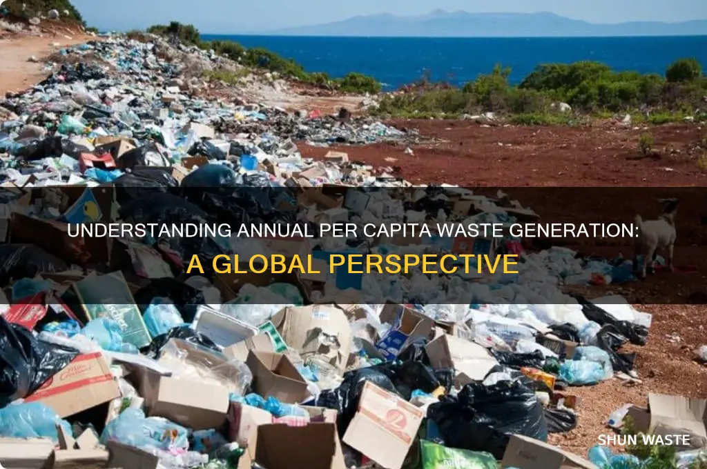 Understanding Annual Per Capita Waste Generation: A Global Perspective ...