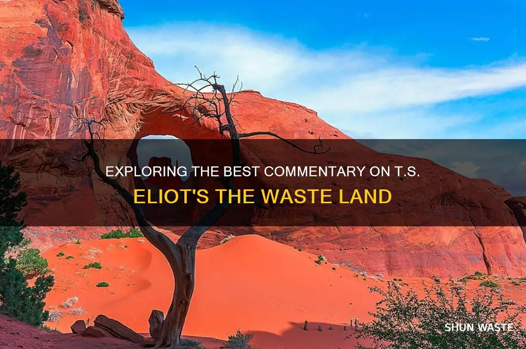 Exploring The Best Commentary On T.S. Eliot's The Waste Land | ShunWaste