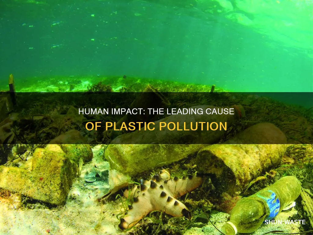 Human Impact: The Leading Cause Of Plastic Pollution | ShunWaste