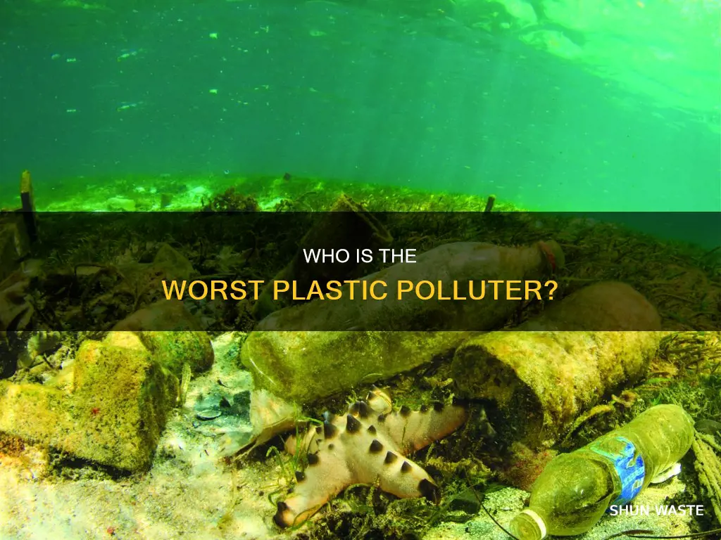 Who Is The Worst Plastic Polluter? | ShunWaste