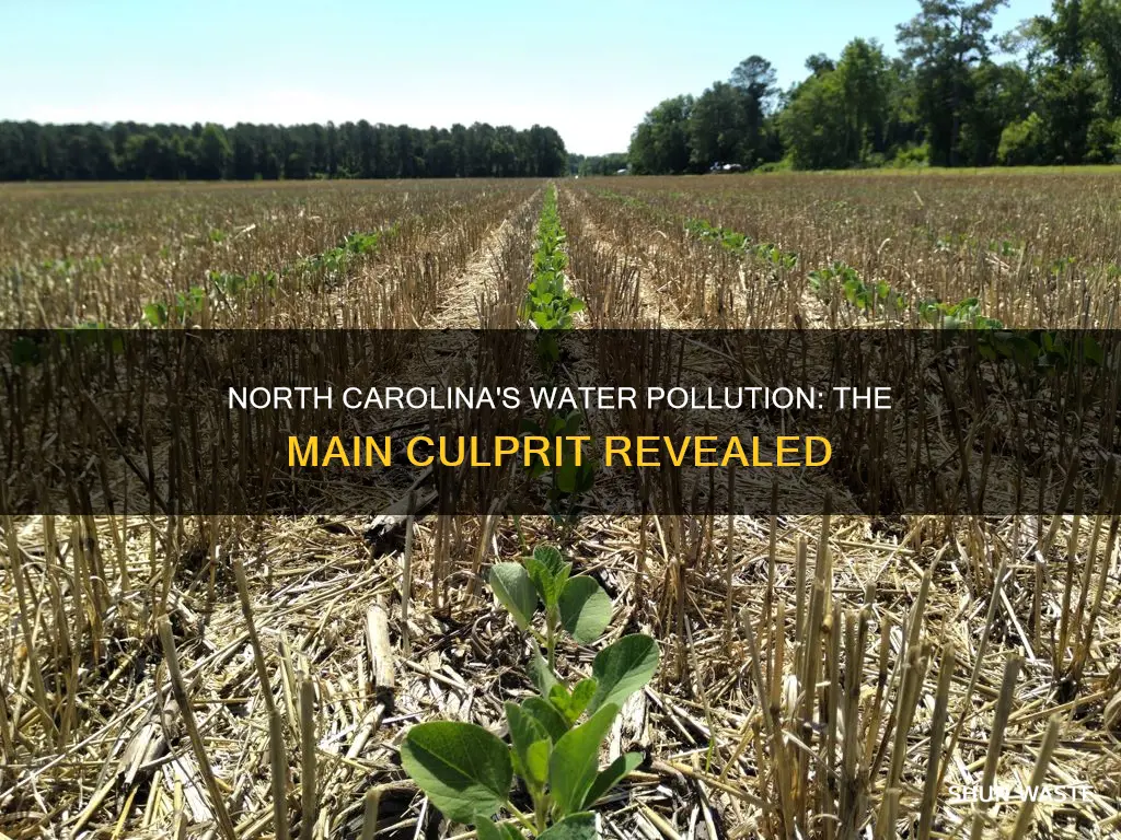 North Carolina's Water Pollution: The Main Culprit Revealed | ShunWaste