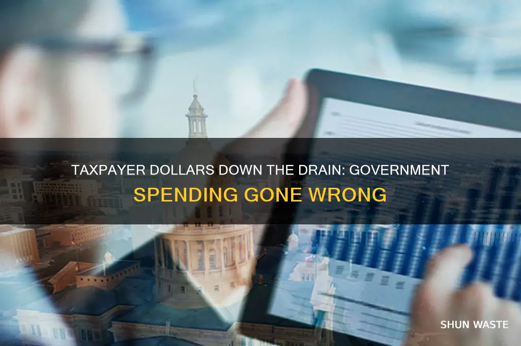 Taxpayer Dollars Down The Drain: Government Spending Gone Wrong | ShunWaste