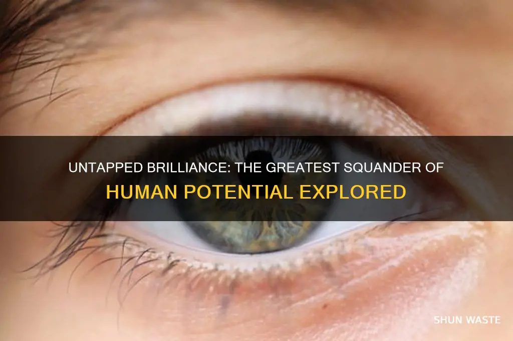 Untapped Brilliance: The Greatest Squander Of Human Potential Explored ...