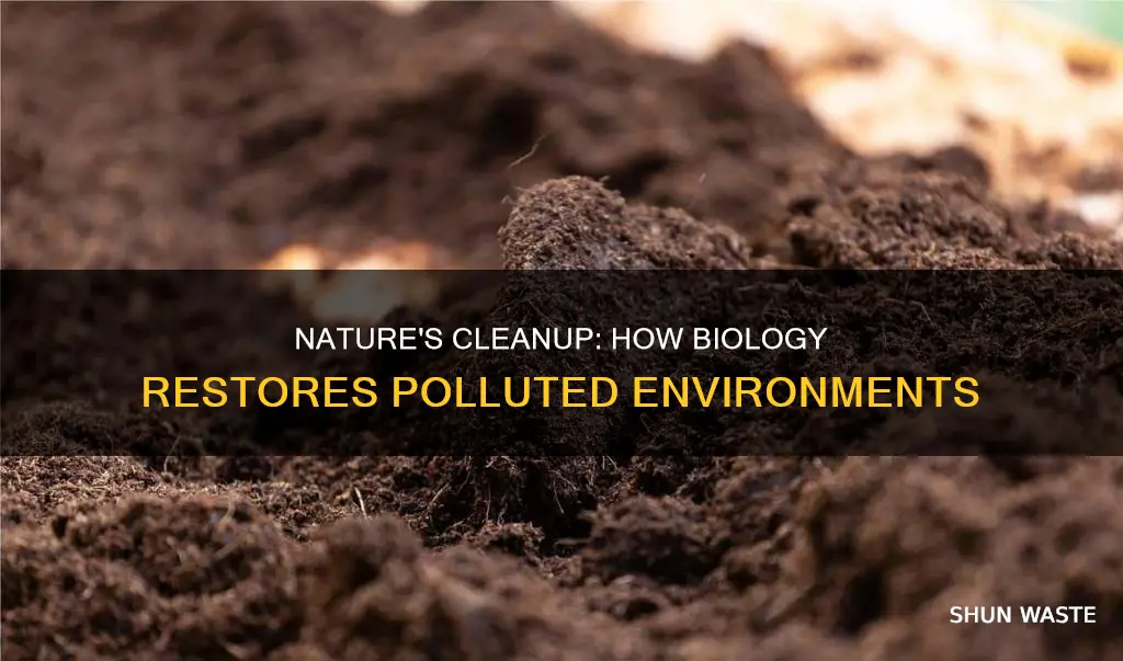 Nature's Cleanup: How Biology Restores Polluted Environments | ShunWaste