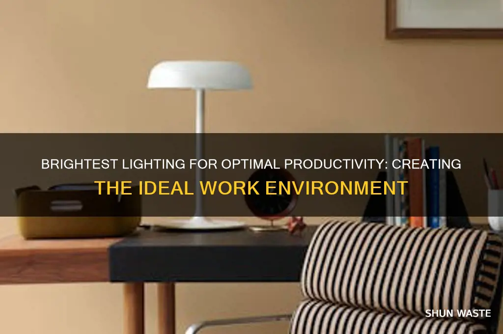Brightest Lighting For Optimal Productivity: Creating The Ideal Work ...