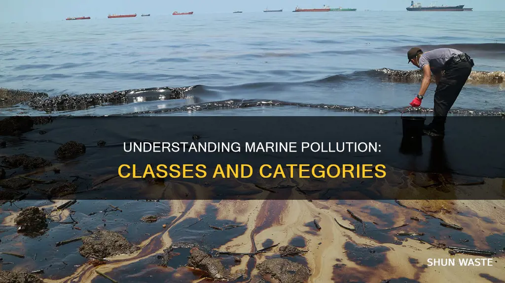Understanding Marine Pollution: Classes And Categories | ShunWaste