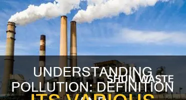 Understanding Pollution: Definition And Its Various Forms | ShunWaste