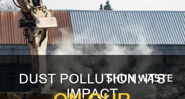 Dust Pollution: Its Impact On Our Environment | ShunWaste