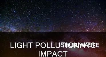 Light Pollution: Its Impact And Our Future | ShunWaste