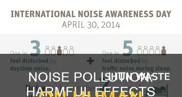Noise Pollution: Harmful Effects On Human Health | ShunWaste