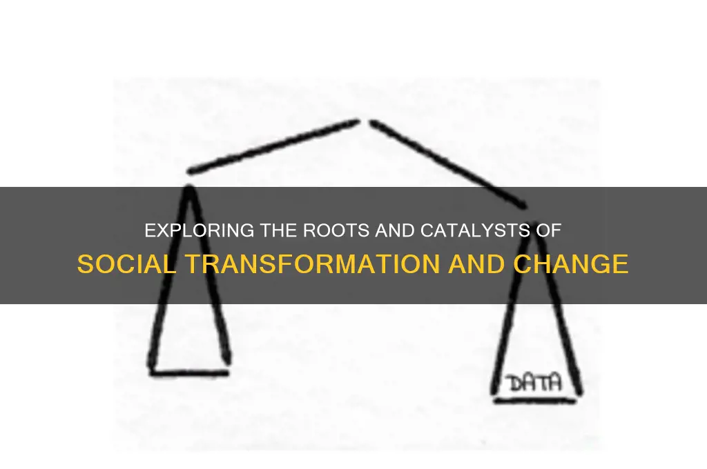 Exploring The Roots And Catalysts Of Social Transformation And Change ...