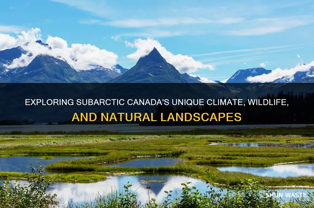 Exploring Subarctic Canada's Unique Climate, Wildlife, And Natural ...