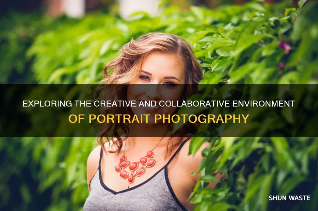 Exploring The Creative And Collaborative Environment Of Portrait ...